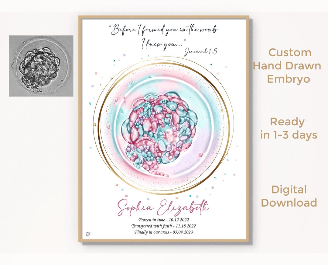 Custom Rainbow IVF Embryo Painting Original Hand Drawn Pregnancy ...