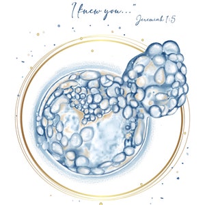 Custom IVF Embryo Watercolor Art, Personalized Unique IVF Embryo, IVF ...