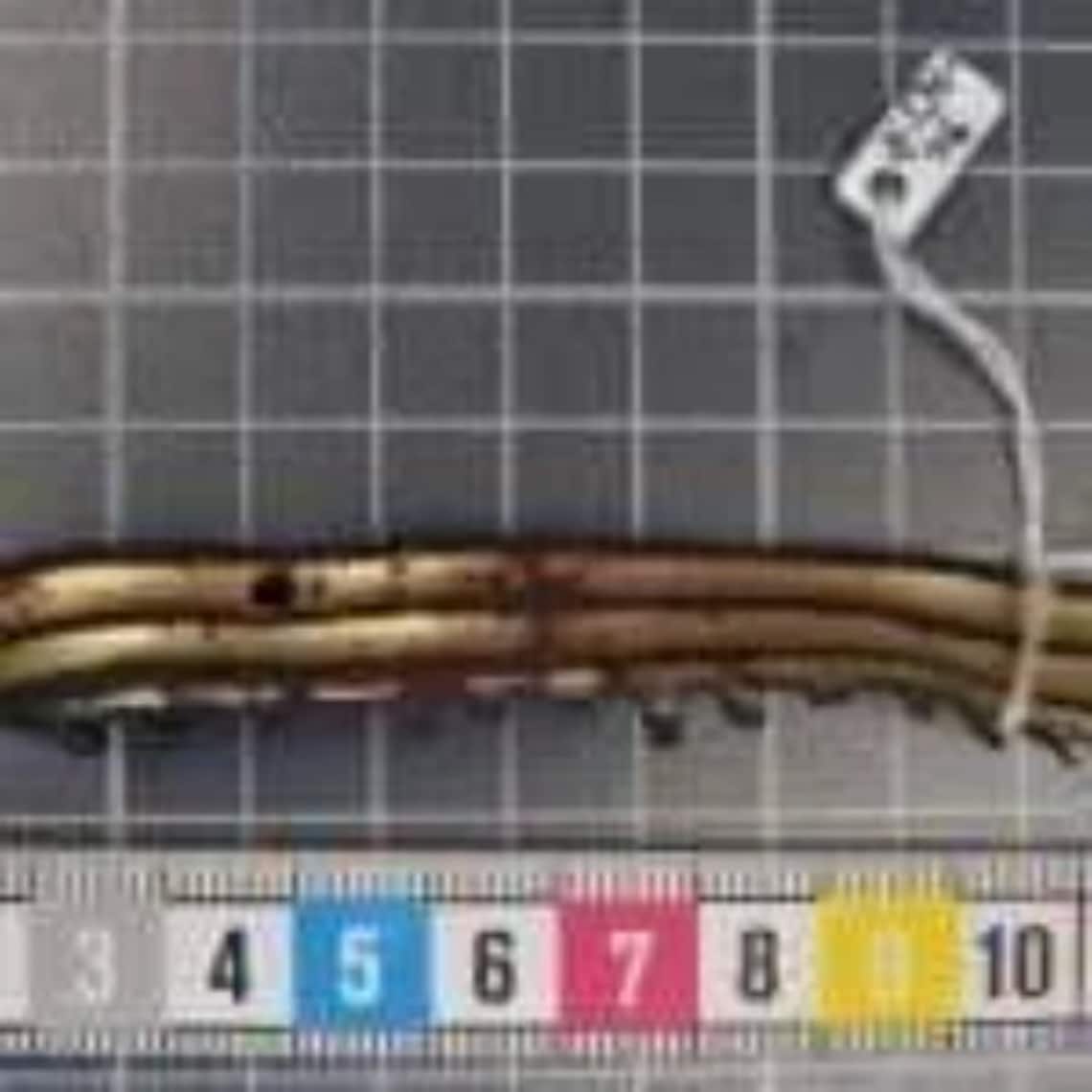 Birka Great Hall Helmet 2 - Etsy