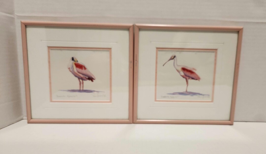Pam Heard "roseate Spoonbill" Set of 2 - Etsy