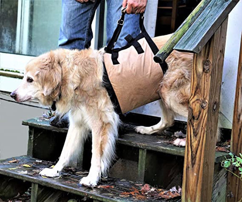 Dog Lift Harness - Dog Stair Lift - Support Harness - Dog Car Lift for ...