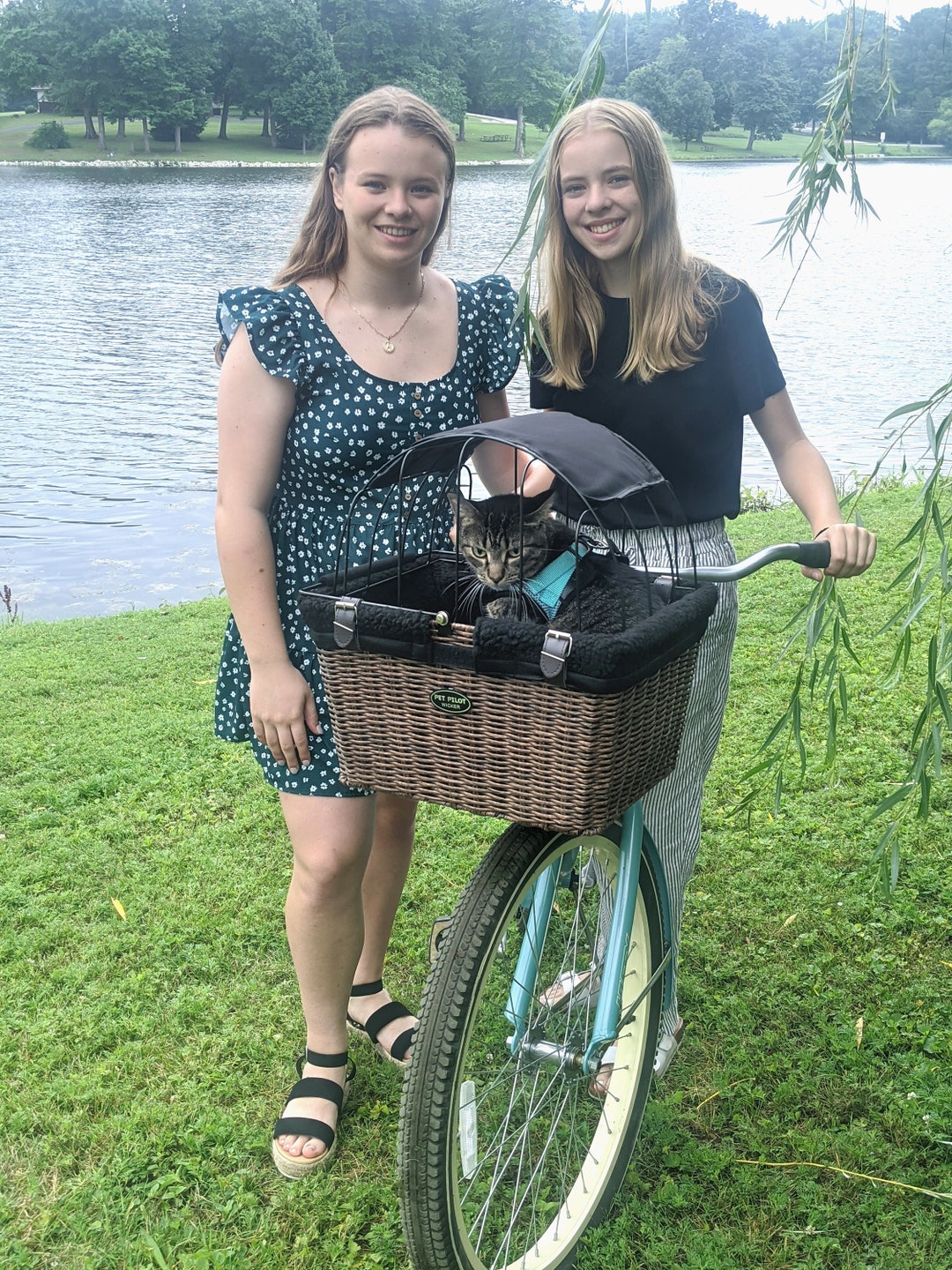 Cat Carrier Basket for Bike | Cat Feline Transport | Wicker Basket ...