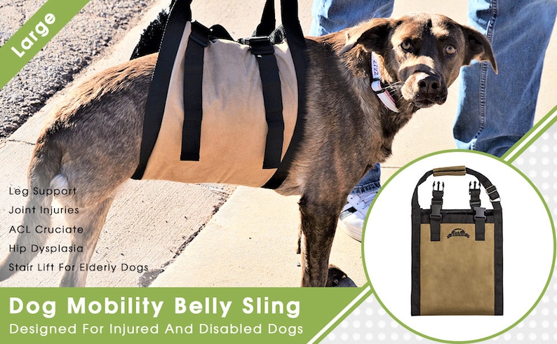 Dog Lift Harness - Dog Stair Lift - Support Harness - Dog Car Lift for ...