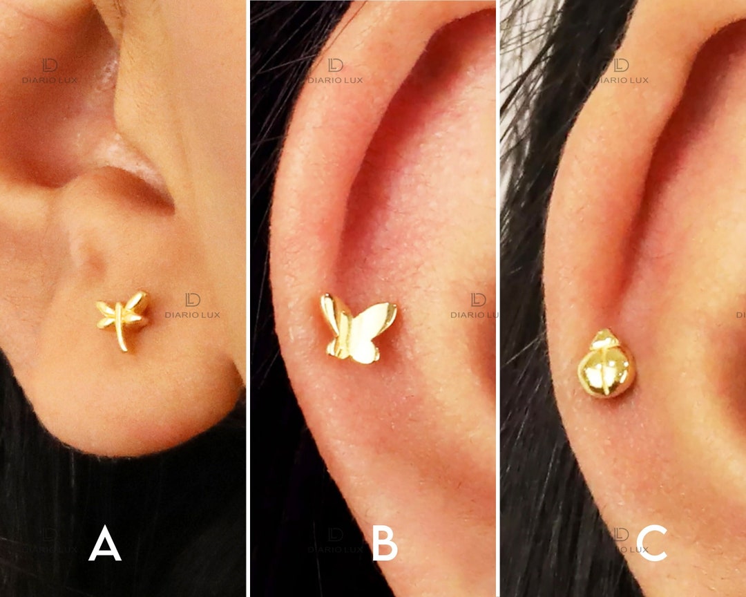 Dainty Insects Flat Back Labret, Cartilage Earrings, Tragus Stud, Helix ...