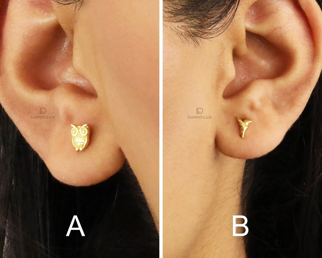 Hummingbird & Owl Flat Back Labret, Cartilage Earrings, Tragus Stud ...