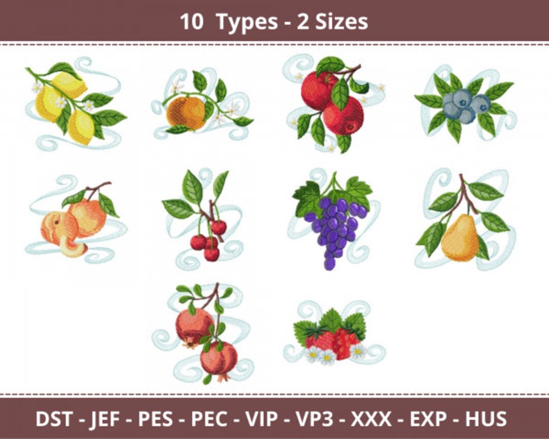 10 Types Fruits Embroidery Designs - 2 Sizes , Instant Download - Etsy