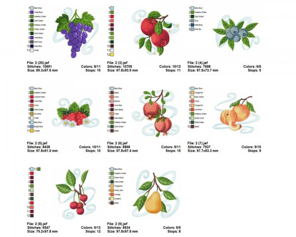 10 Types Fruits Embroidery Designs 2 Sizes Instant - Etsy