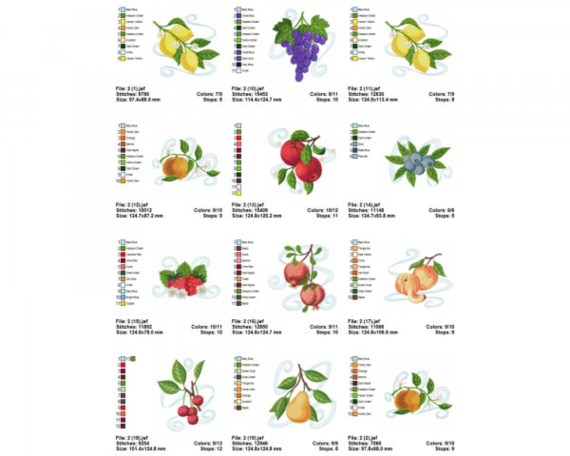 10 Types Fruits Embroidery Designs 2 Sizes Instant - Etsy