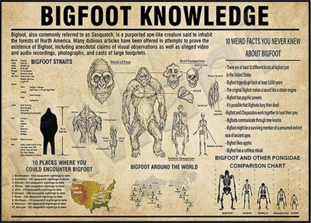 Bigfoot Knowledge Poster 16x24 - Etsy