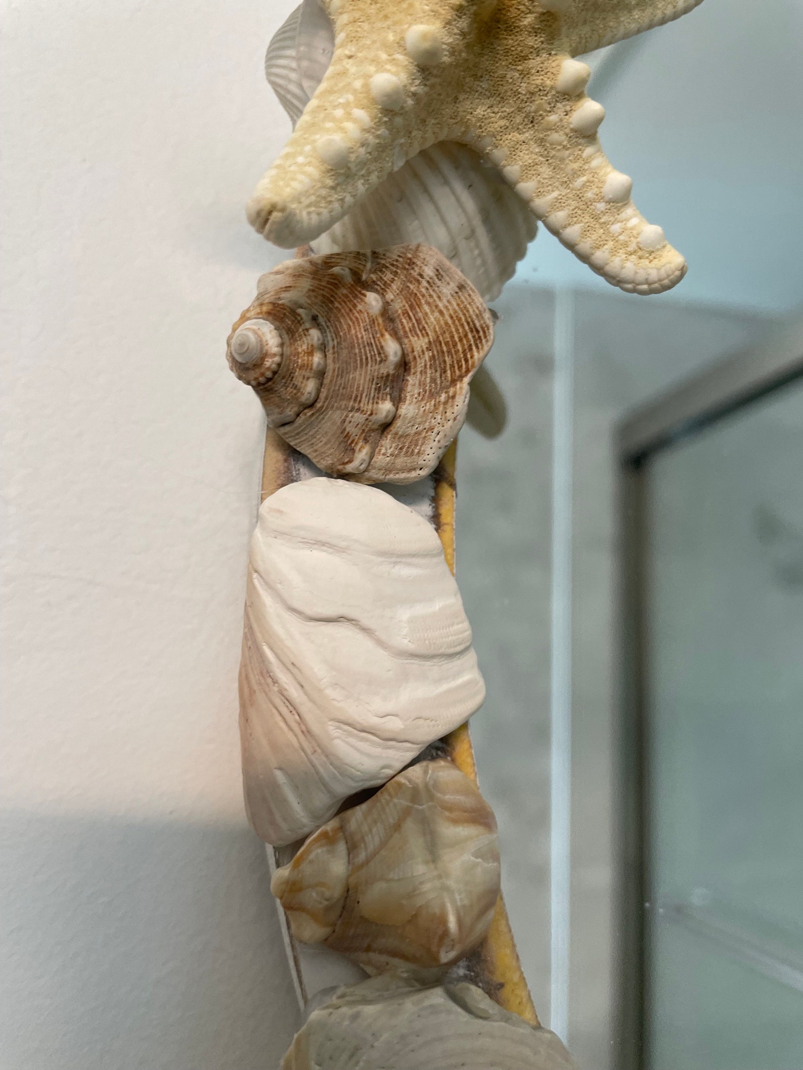 Round Shell Mirror - Etsy