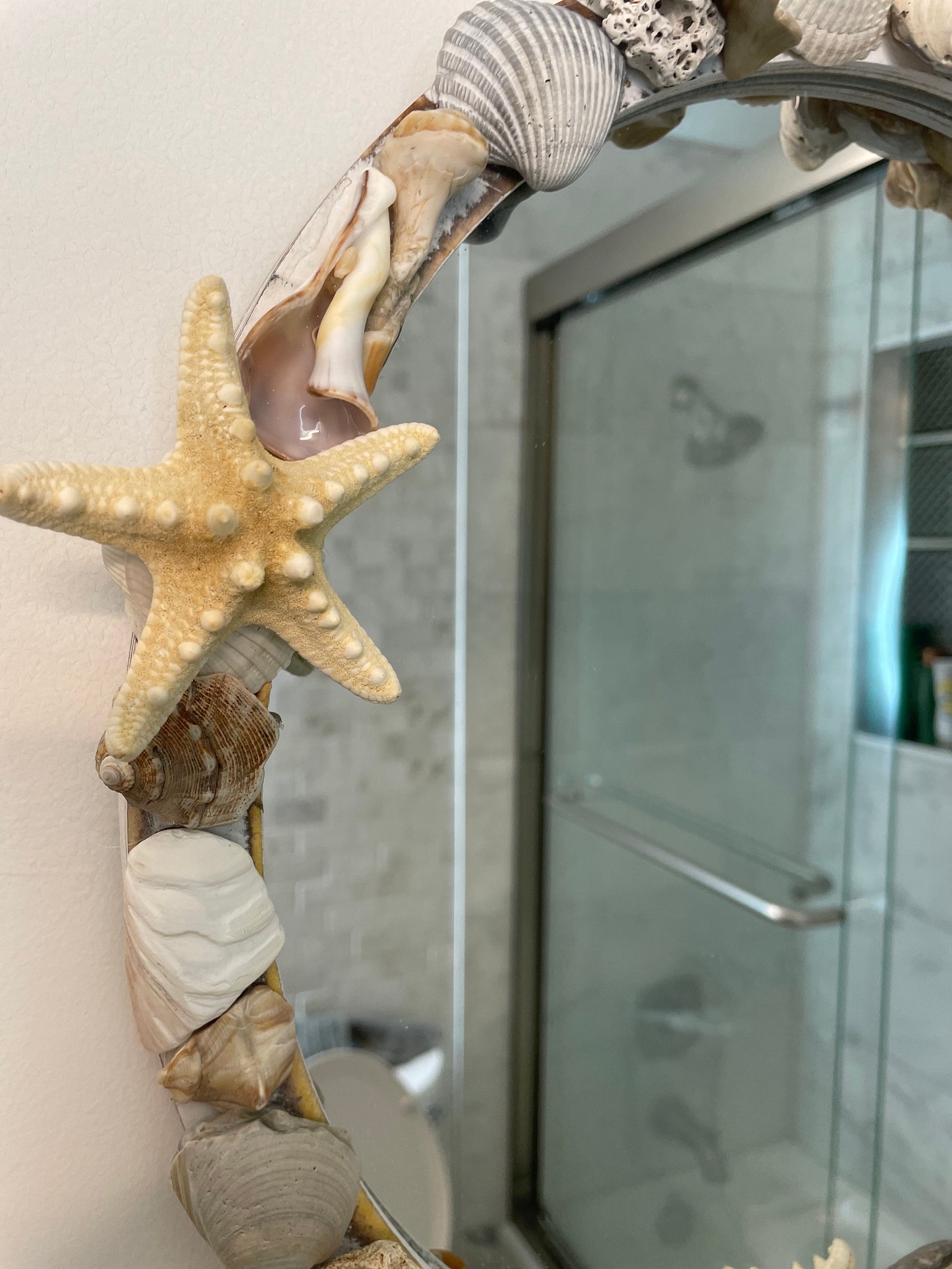 Round Shell Mirror - Etsy