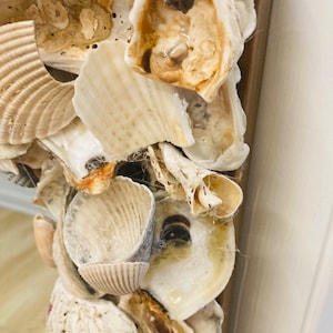 Custom Shell Frame Mirror, Hanging; 24x36 - Etsy