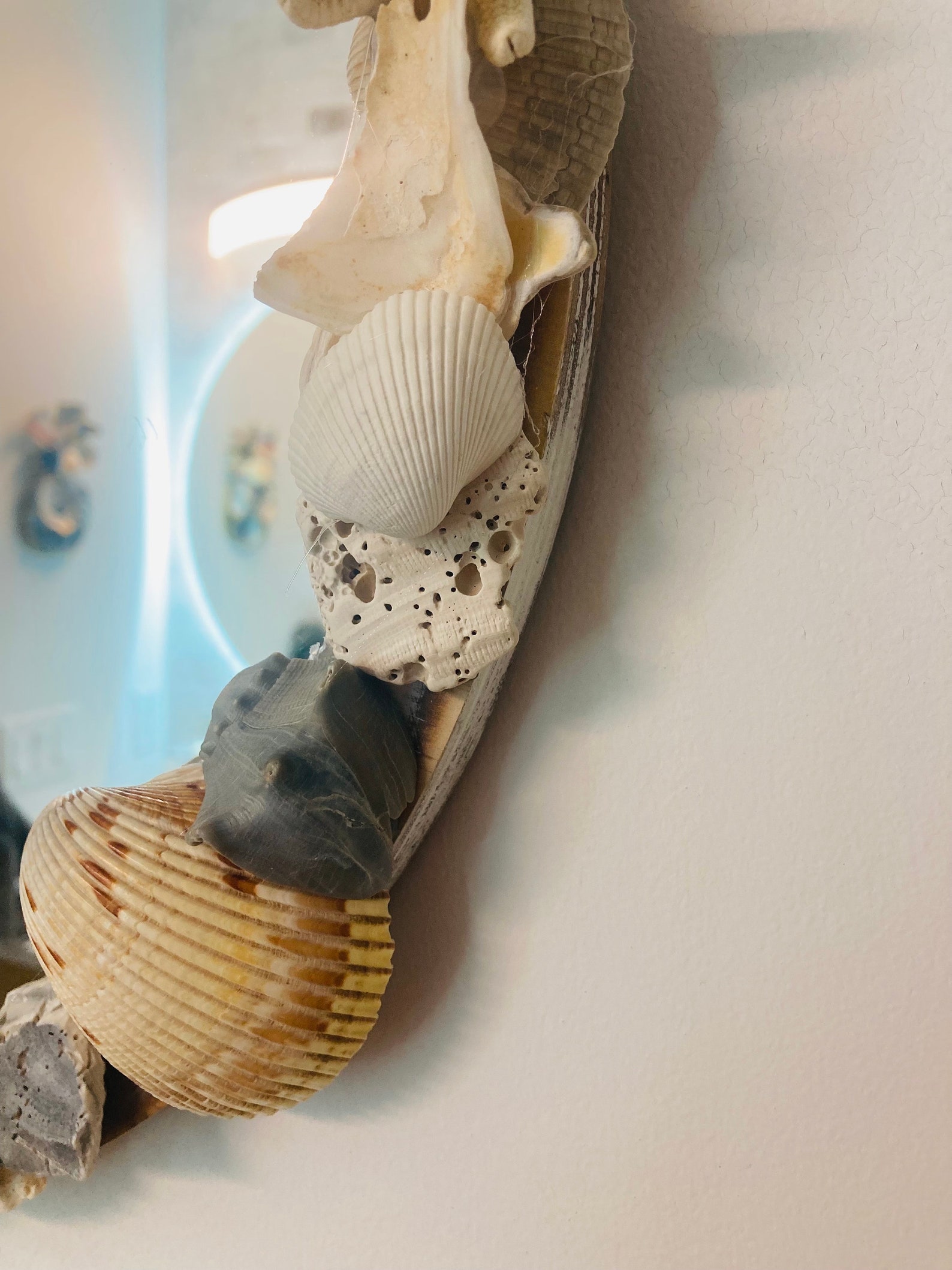 Round Shell Mirror - Etsy