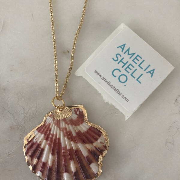 Scallop Shell Necklace - Etsy