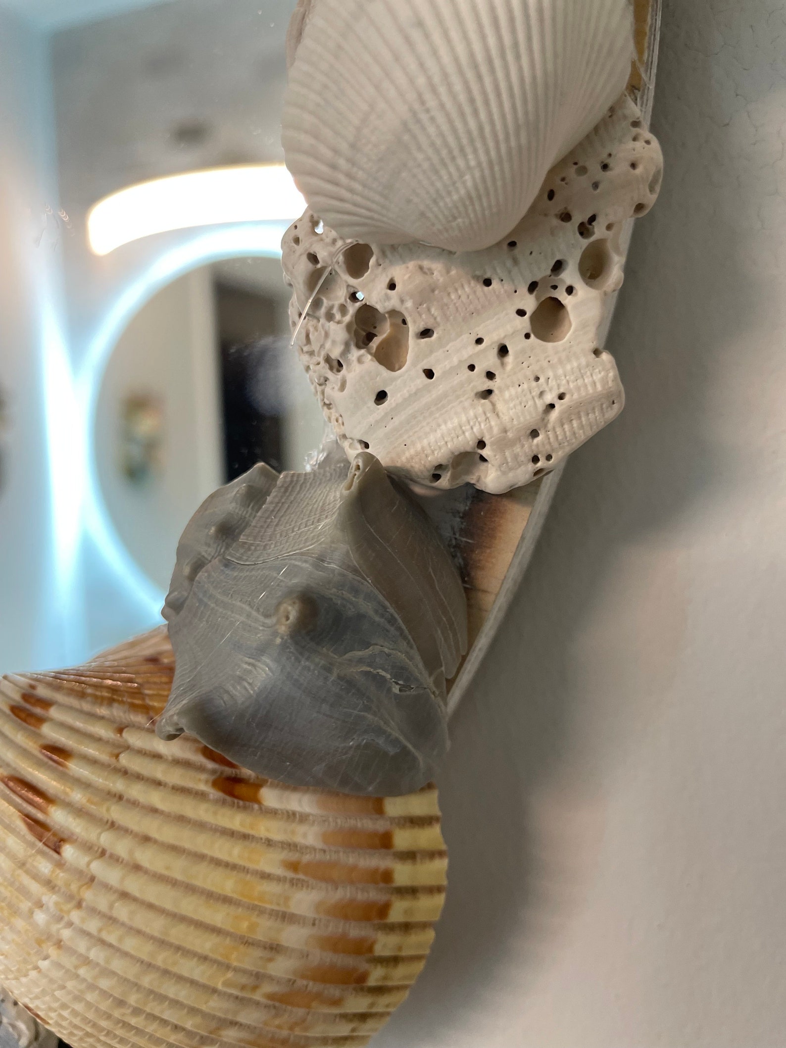 Round Shell Mirror - Etsy