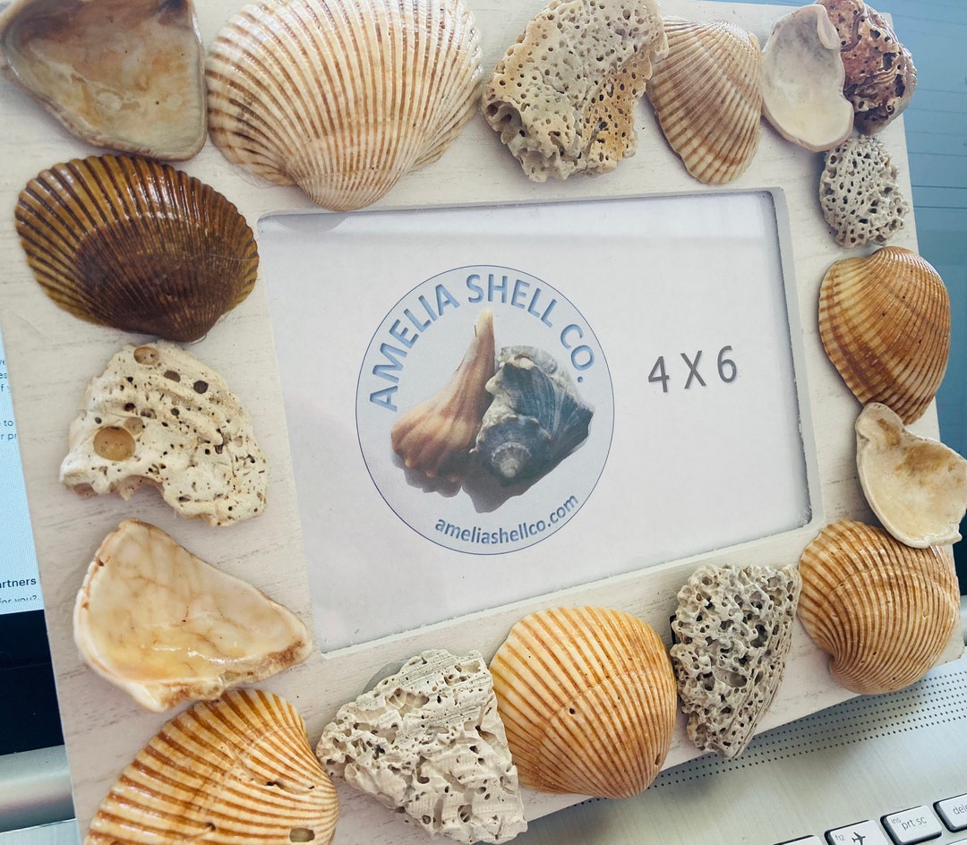 4x6 Shell Frame, Free Shipping - Etsy
