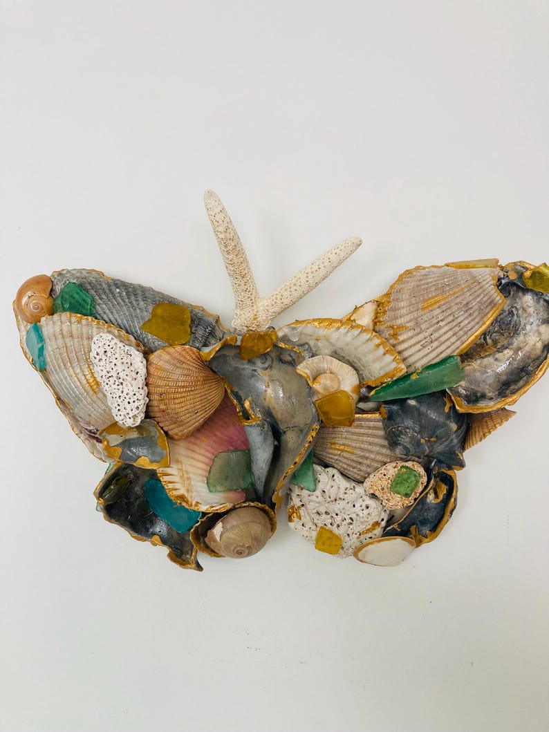 Butterfly, Oyster Shell - Etsy