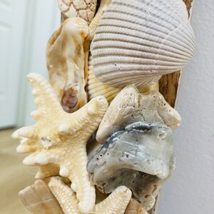 Shell Frame Mirror, Free Shipping - Etsy