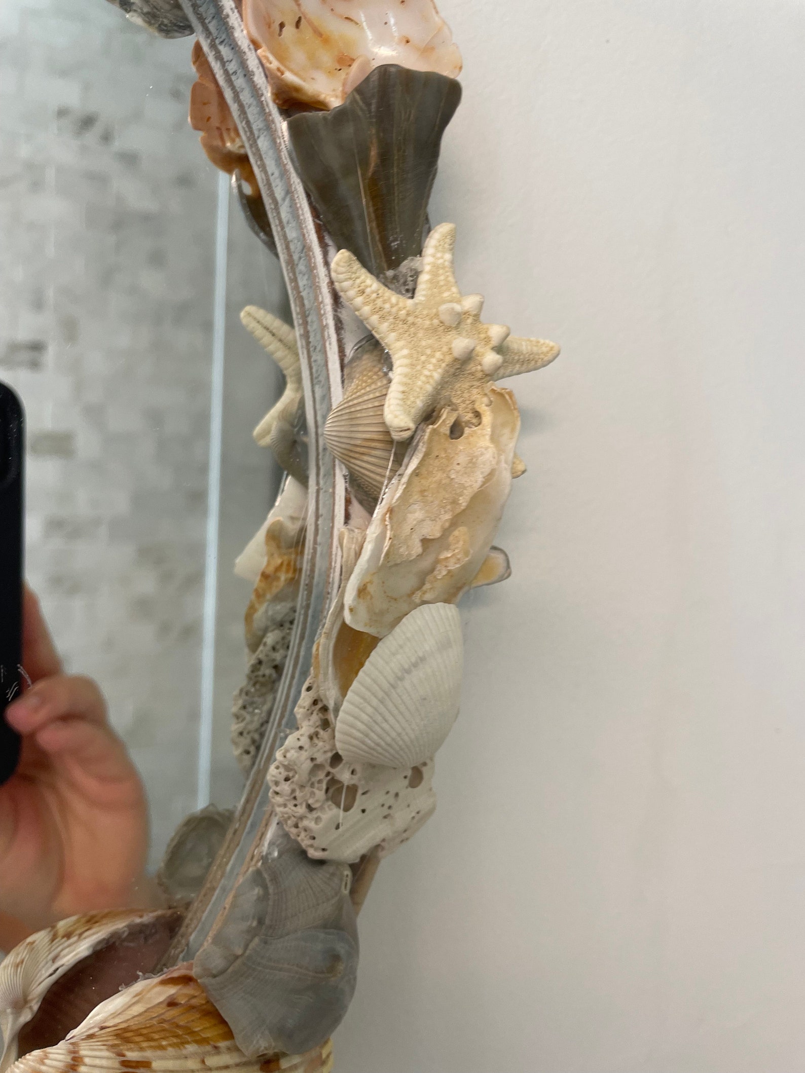 Round Shell Mirror - Etsy