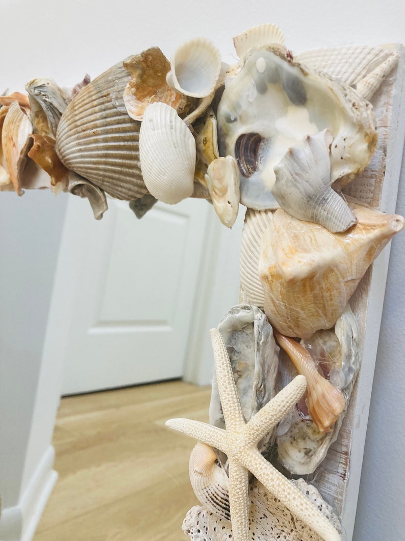 Shell Frame Mirror, Free Shipping - Etsy