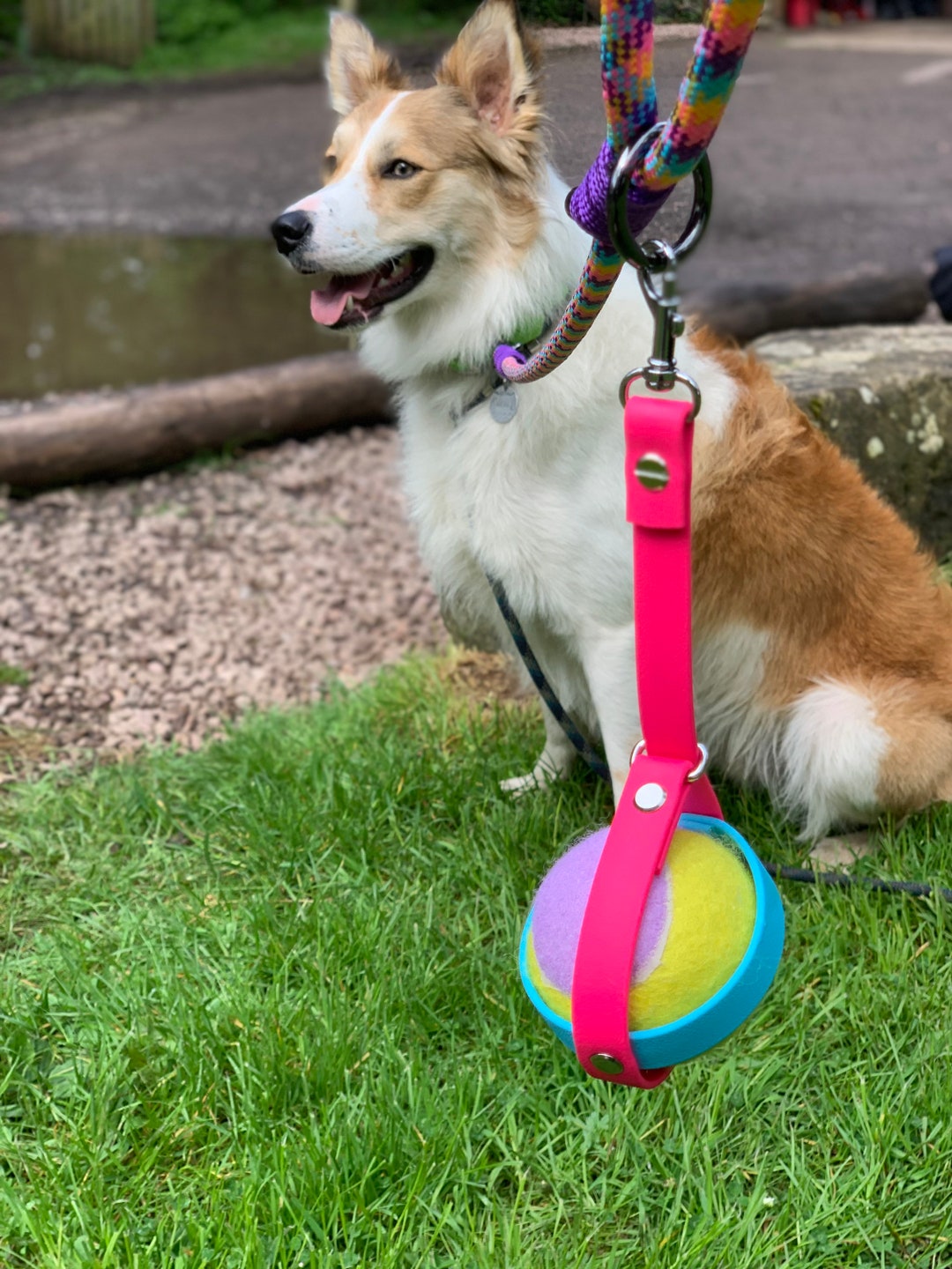 Biothane Dog Ball Holder - Etsy