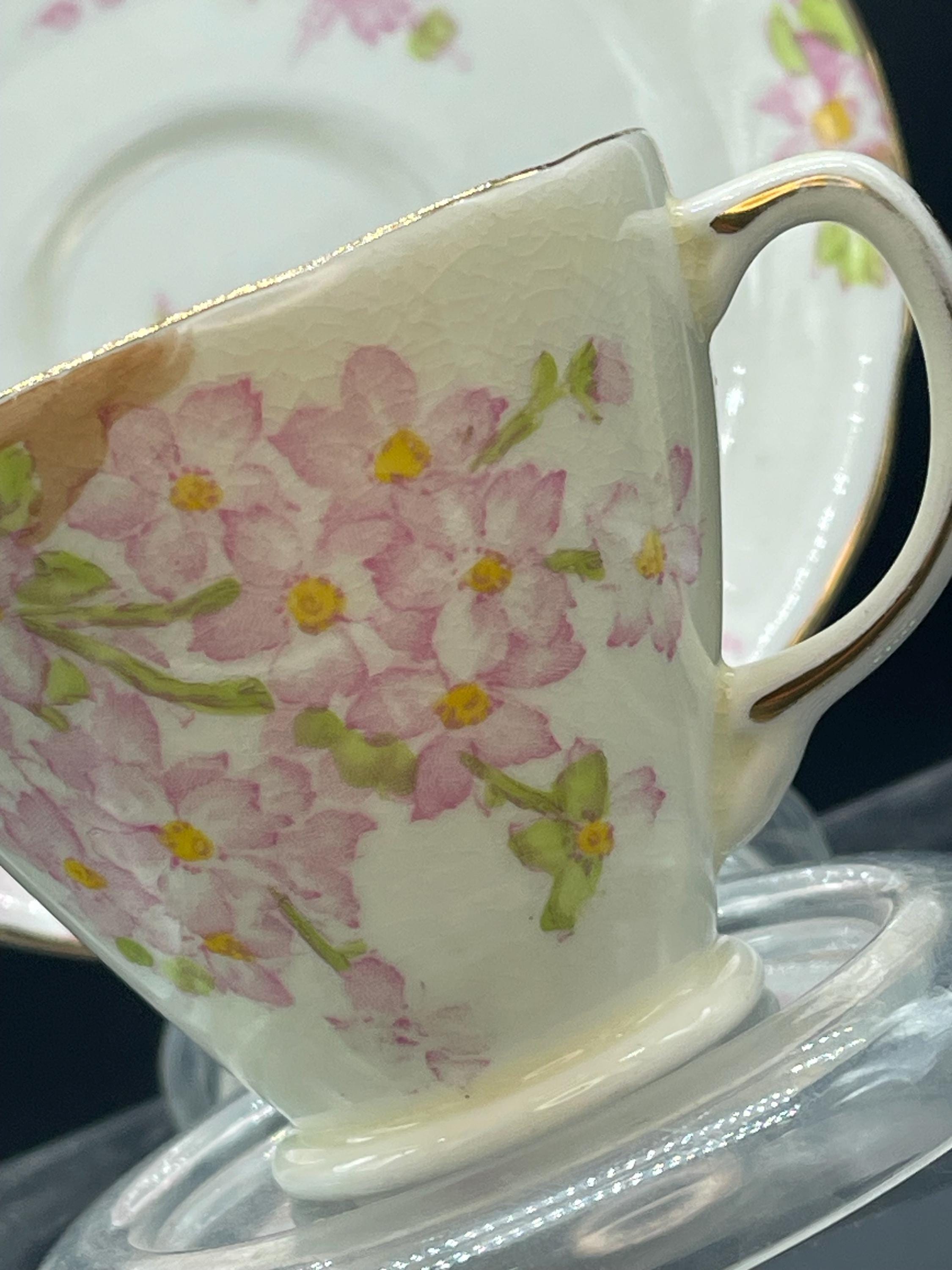 Pretty Pink Vintage Tea Cup and Saucer. Old Royal China “glorious Devon ...
