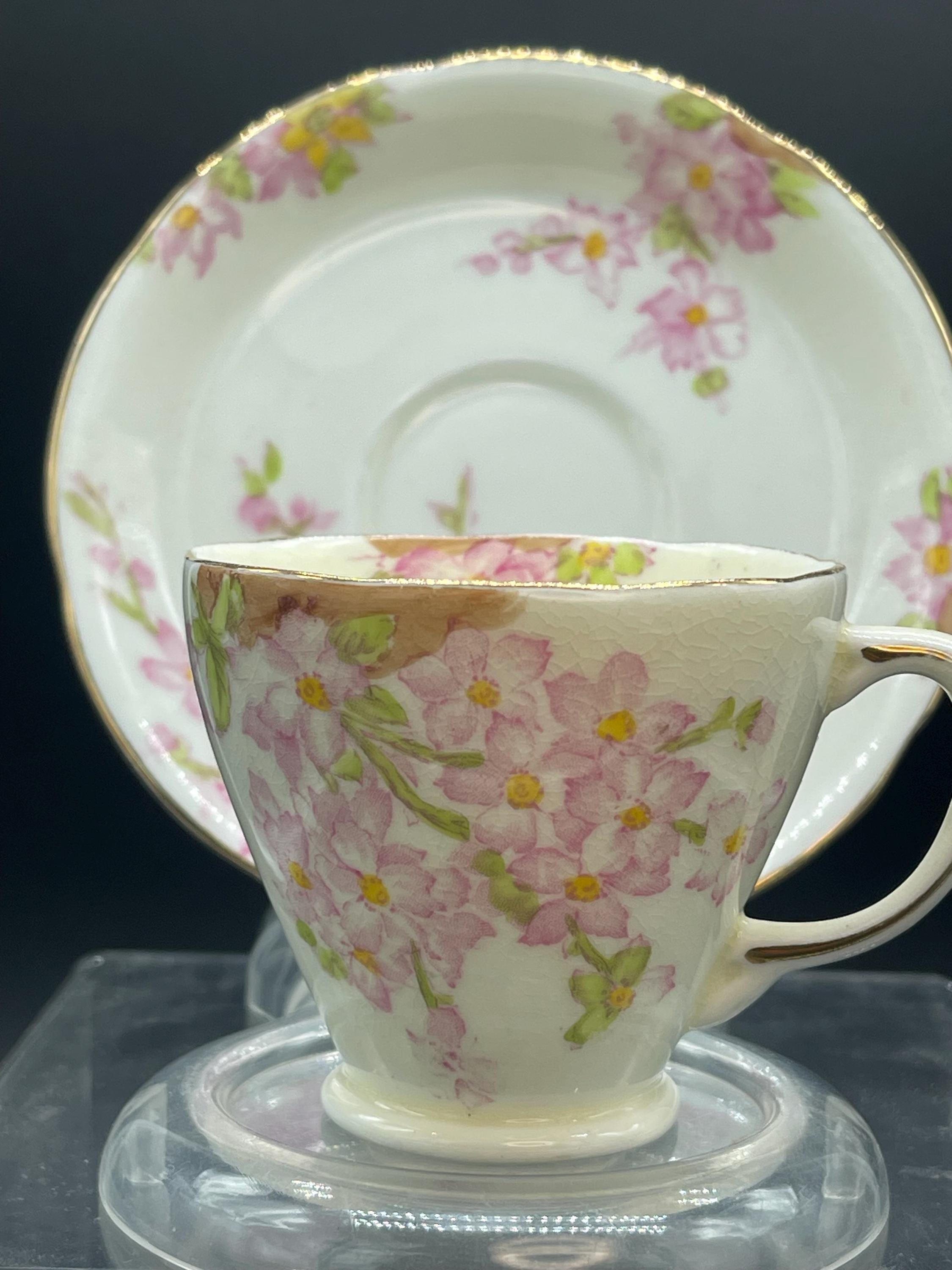 Pretty Pink Vintage Tea Cup and Saucer. Old Royal China “glorious Devon ...