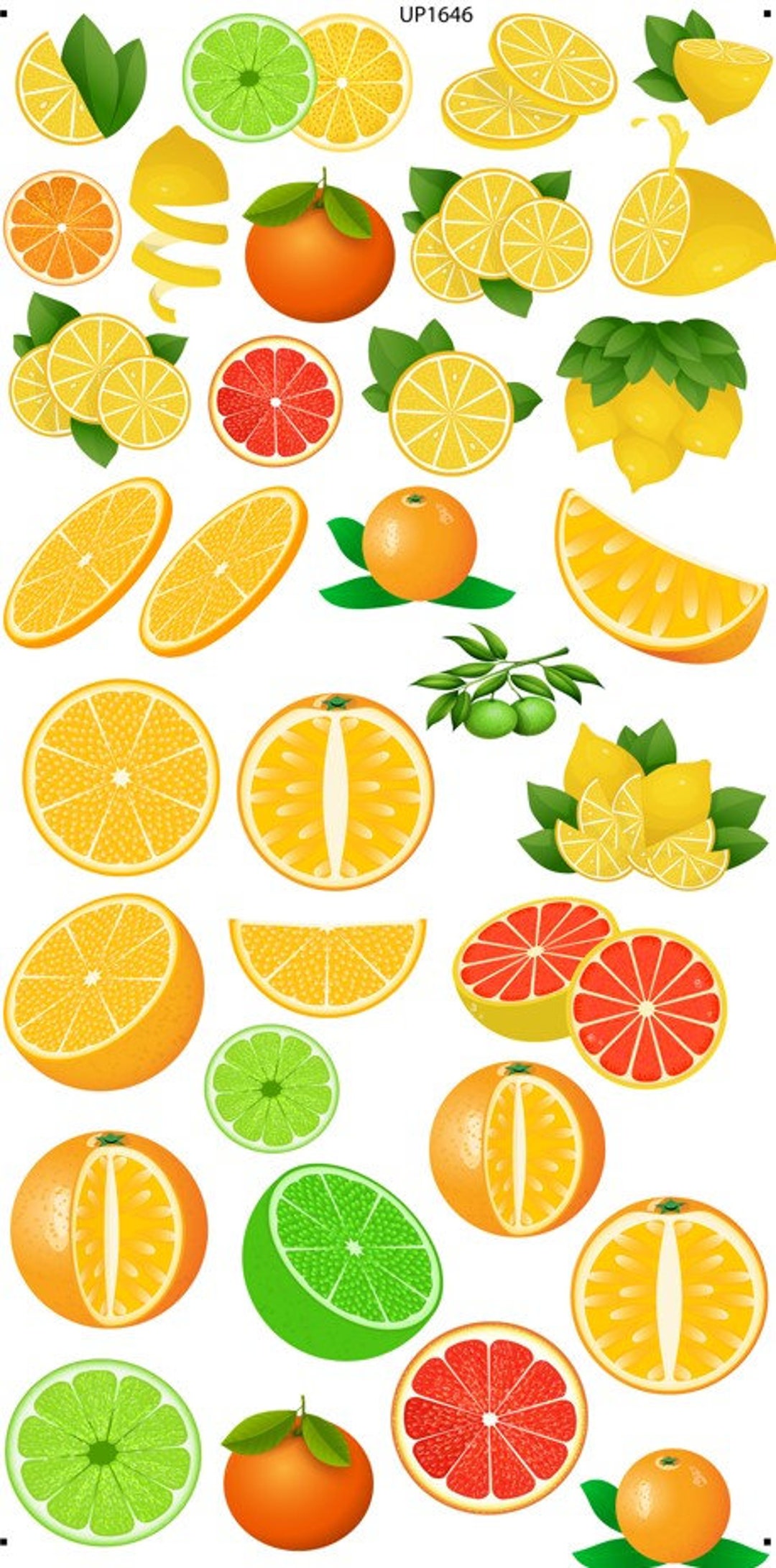 Oranges Cutie Citrus Fruit Party Props Decorations Backdrops Cutouts ...