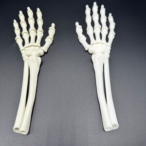 Flexi Skeleton Hands | Articulated | Flexi Factory Authorized Seller - Etsy