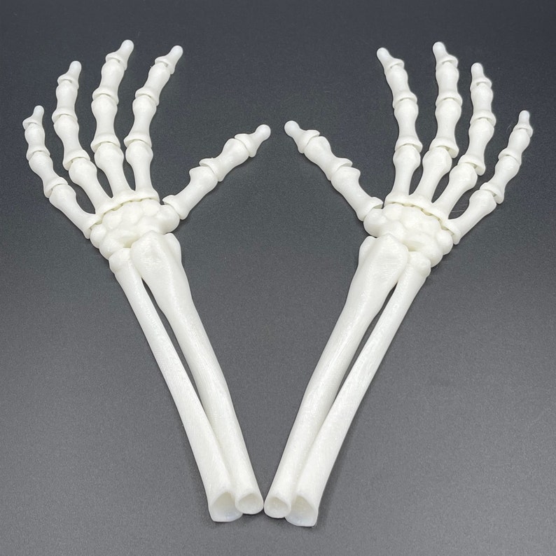 Flexi Skeleton Hands Articulated Flexi Factory Authorized - Etsy