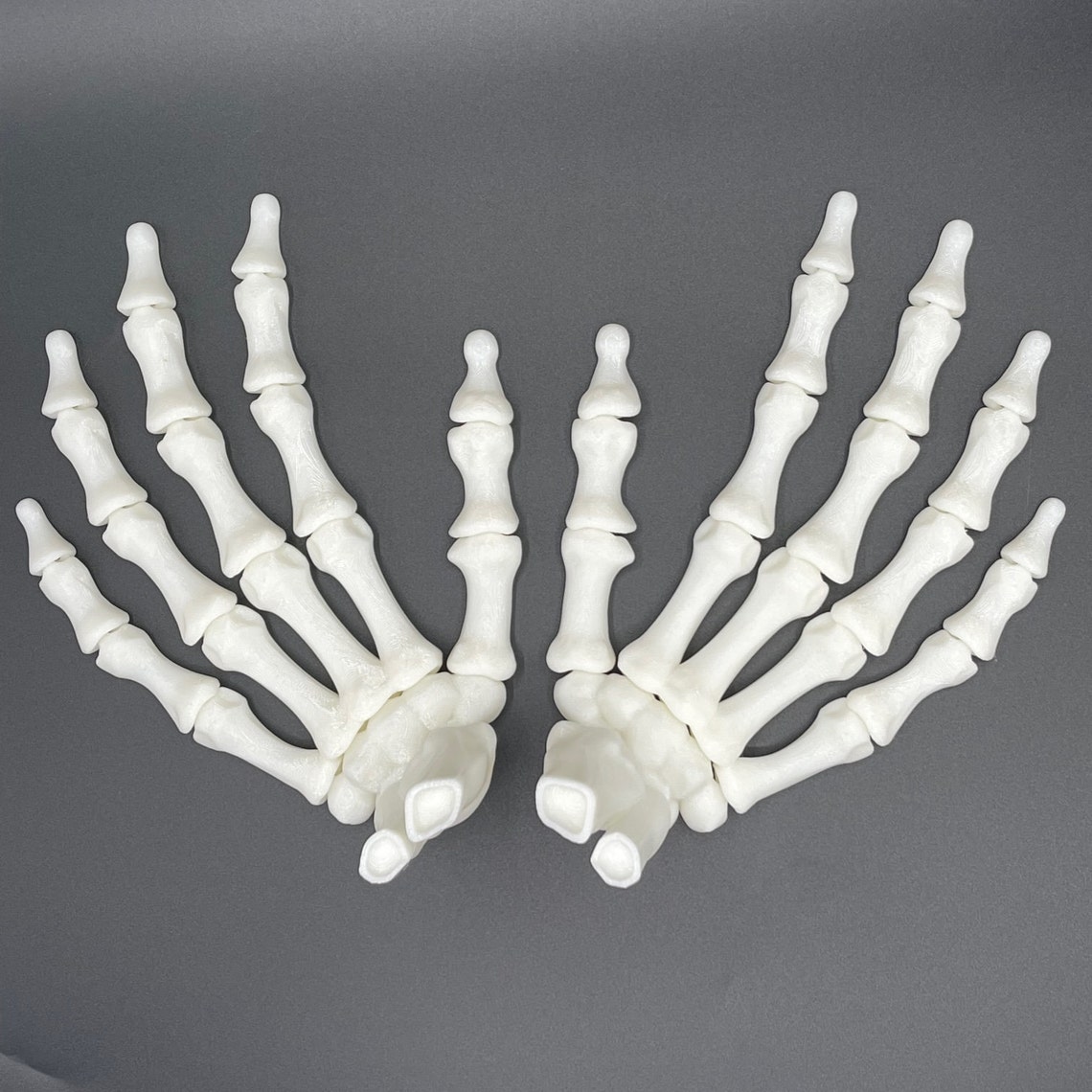 Flexi Skeleton Hands Articulated Flexi Factory Authorized - Etsy
