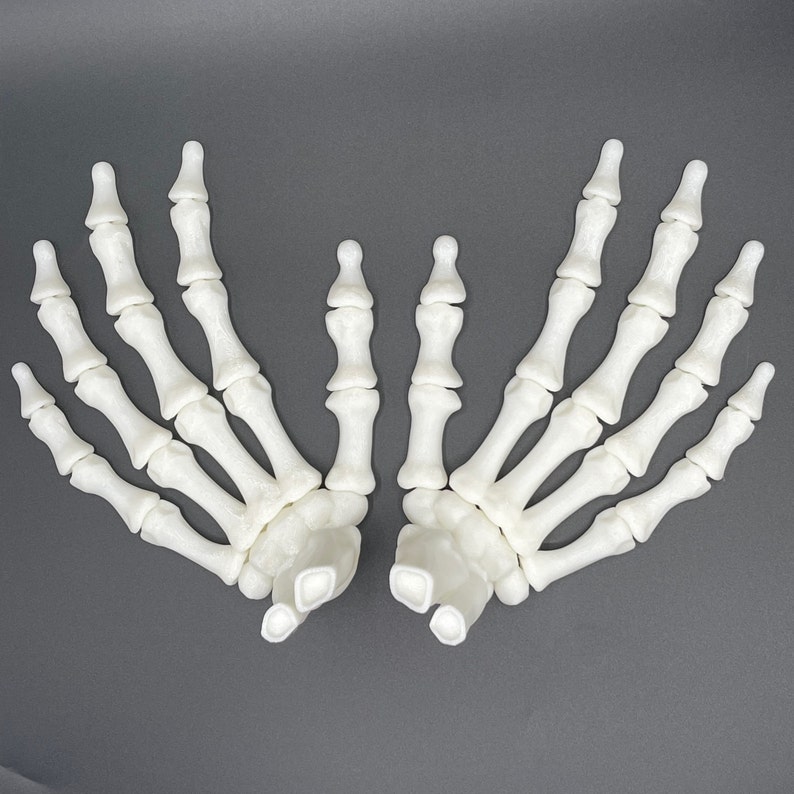 Flexi Skeleton Hands | Articulated | Flexi Factory Authorized Seller - Etsy