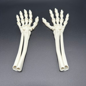 Flexi Skeleton Hands | Articulated | Flexi Factory Authorized Seller - Etsy