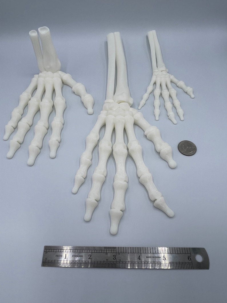 Flexi Skeleton Hands | Articulated | Flexi Factory Authorized Seller - Etsy