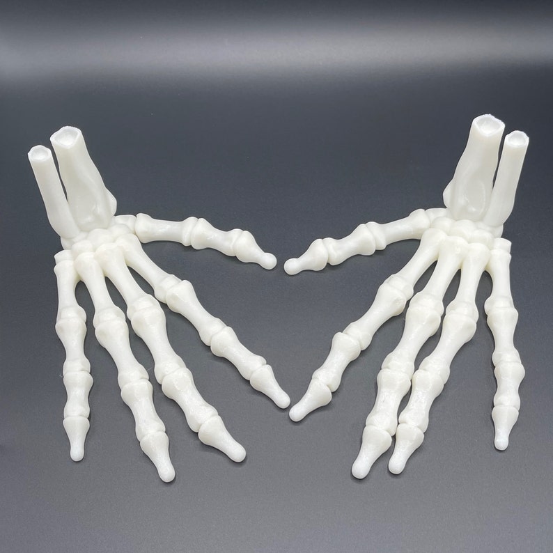 Flexi Skeleton Hands Articulated Flexi Factory Authorized - Etsy