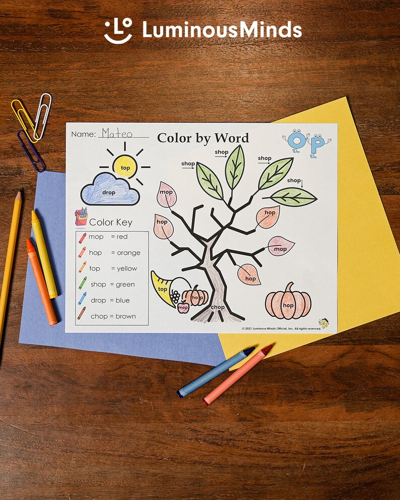 Word Family Activity Pack: the "_op" Family - Etsy