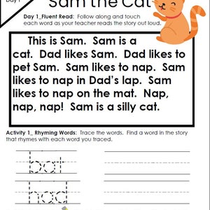 Decodable Passage & Fluency Building Bundle Pack Set 1 | Short A - Etsy