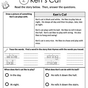 K-1 Reading Comprehension & Test Prep / Set: 1 - Etsy