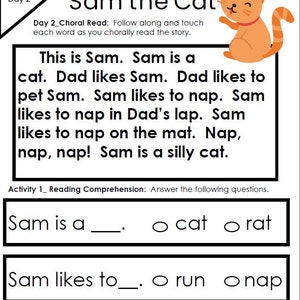 Decodable Passage & Fluency Building Bundle Pack Set 1 | Short A - Etsy