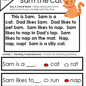 Decodable Passage & Fluency Building Bundle Pack Set 1 | Short A - Etsy