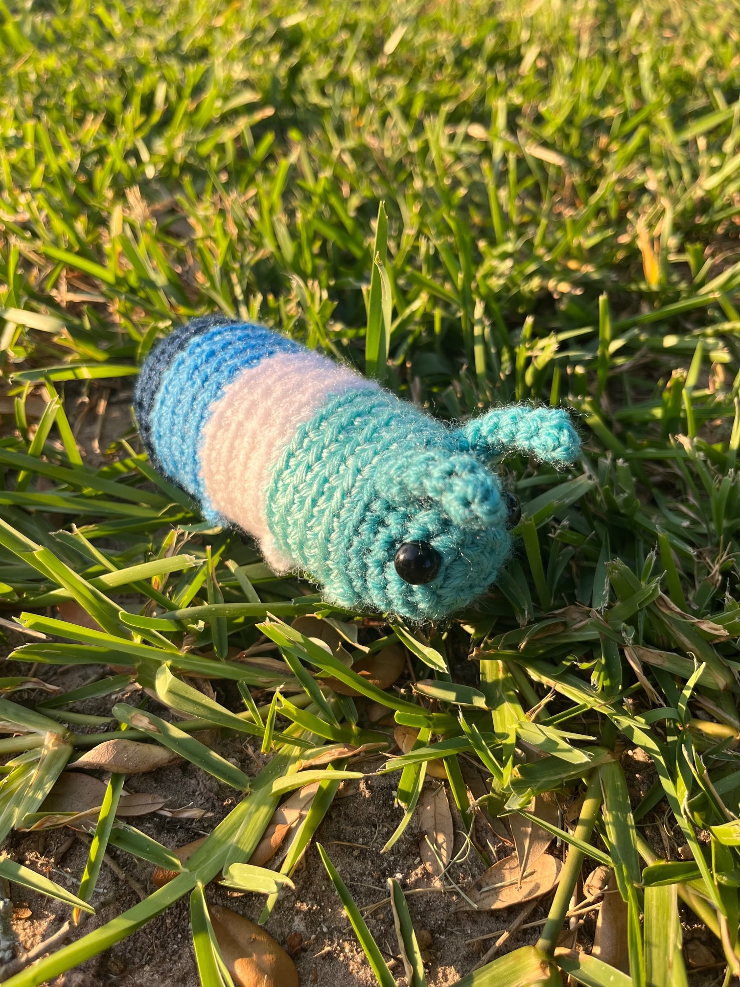 Crochet Pride Caterpillar - Etsy