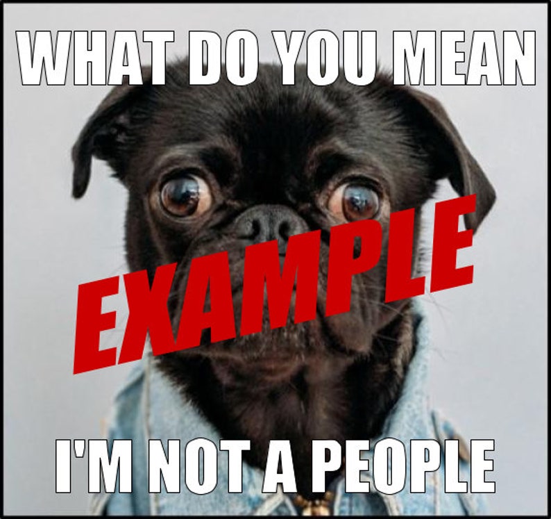 Meme Creation Template C for Educators and Students Google - Etsy