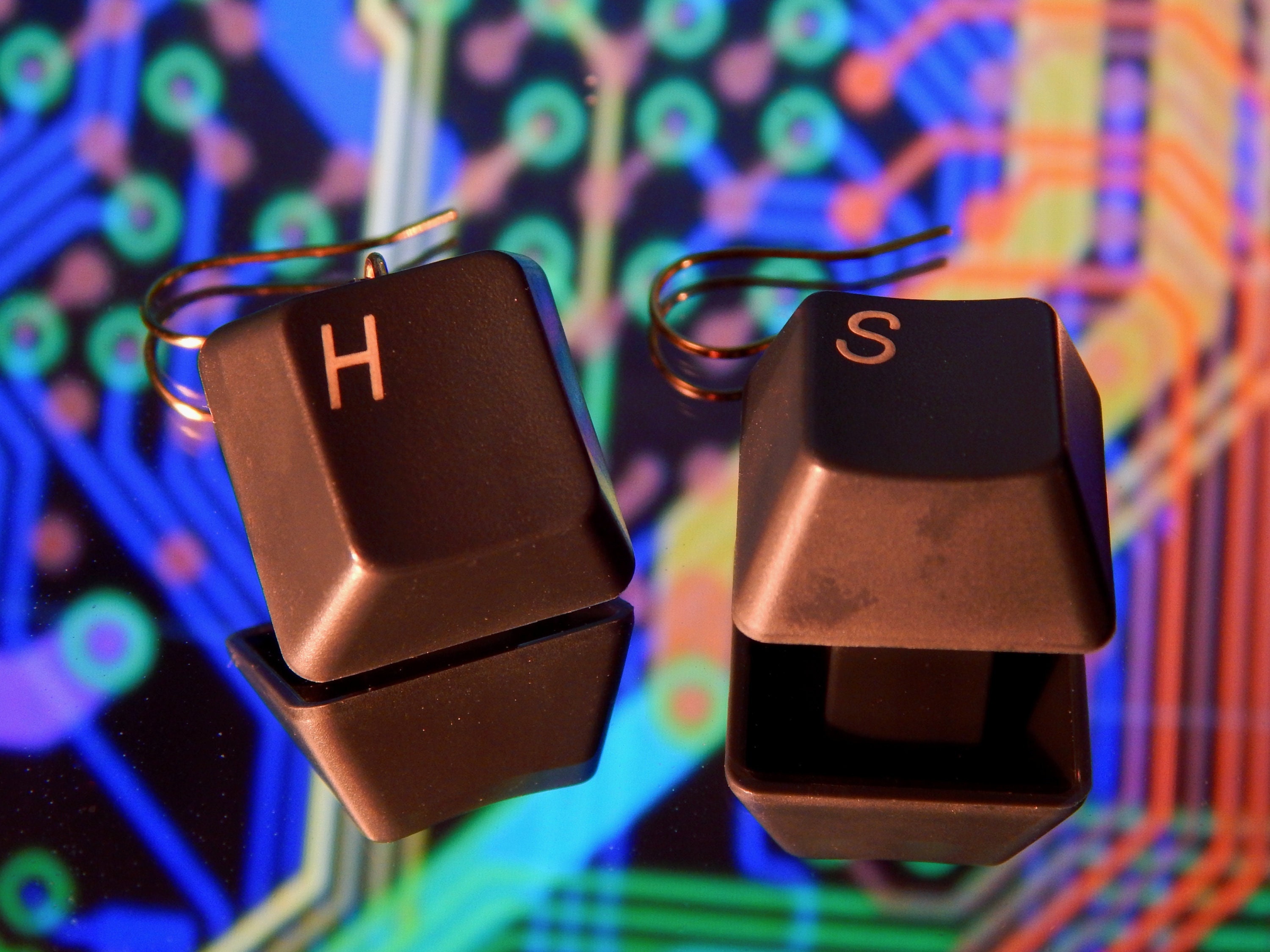 Computer Keyboard Earrings for Charity - Etsy