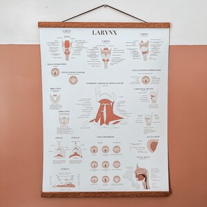 Larynx Poster for Professionals I DIGITAL - Etsy