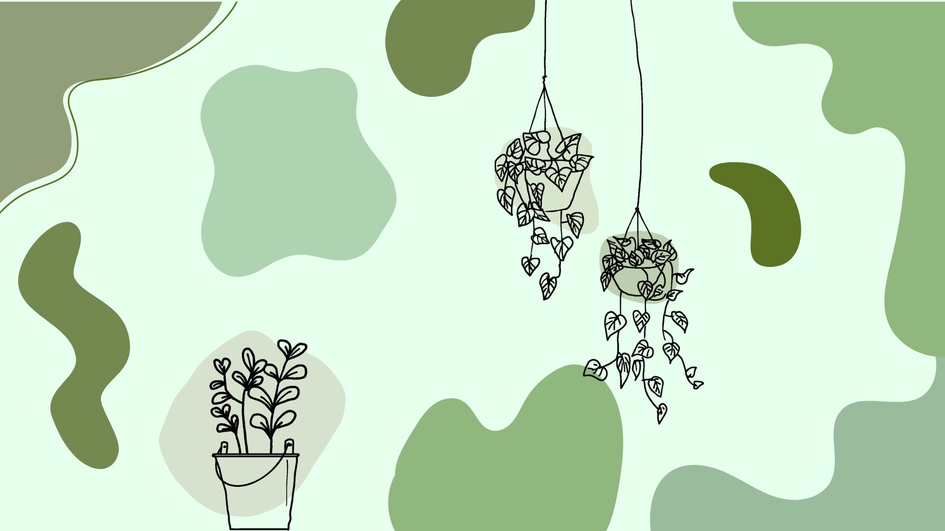 Succulent Desktop Wallpaper - Etsy