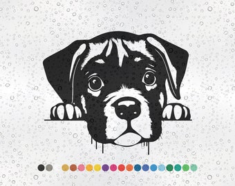 Cane Corso on Board Car Window Sticker Beware of the Dog Italian ...