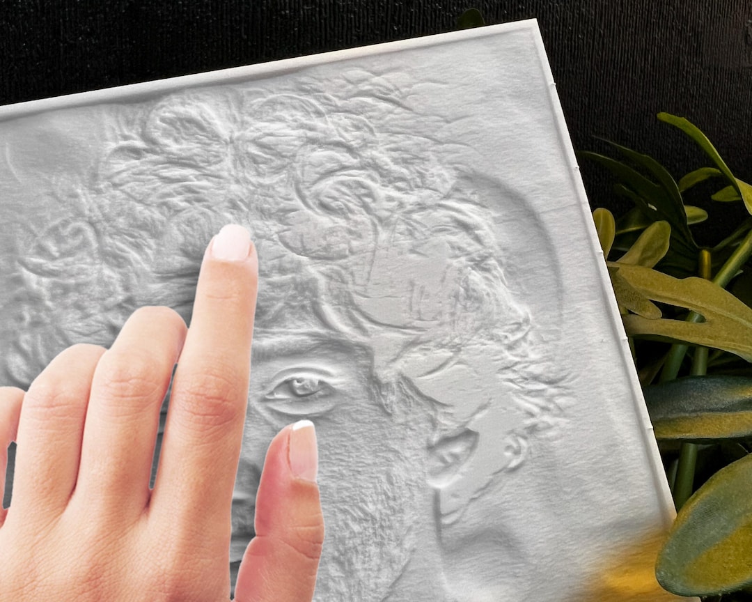 Personalized Tactile Pictures for the Blind and Visually Impaired ...