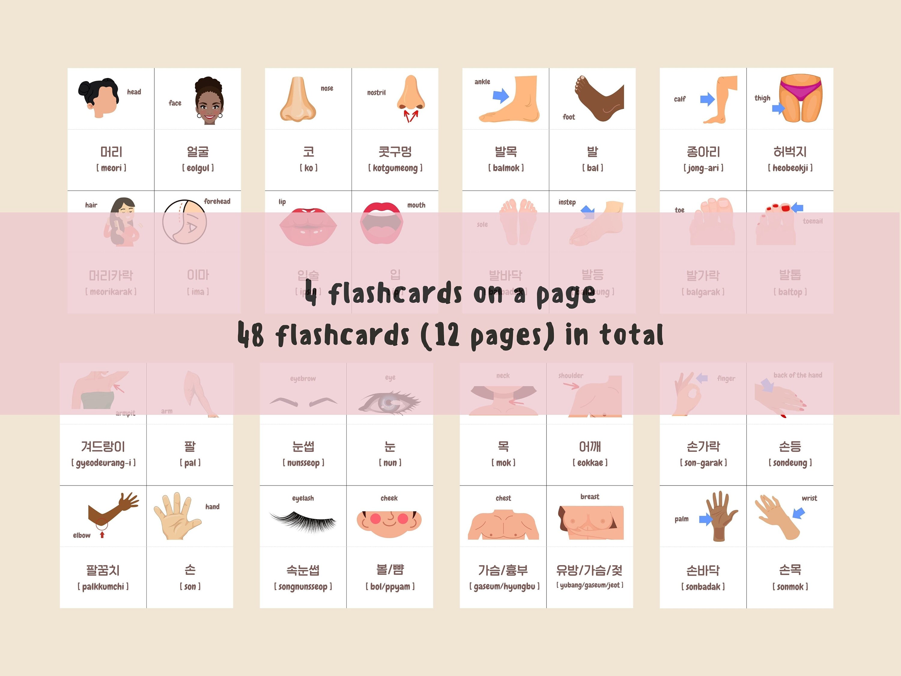 Korean Flashcards, Learning Korean Vocabulary, Human Body Parts, Basic ...