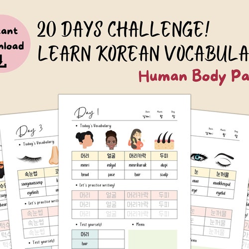 Learning Korean Vocabulary Worksheet Korean Language Learn - Etsy