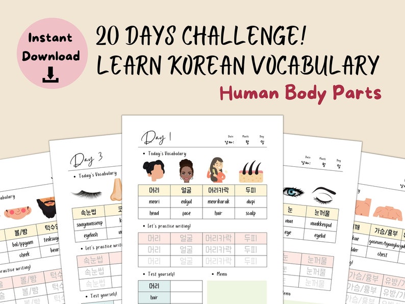 Learning Korean Vocabulary Worksheet Human Body Parts Korean - Etsy